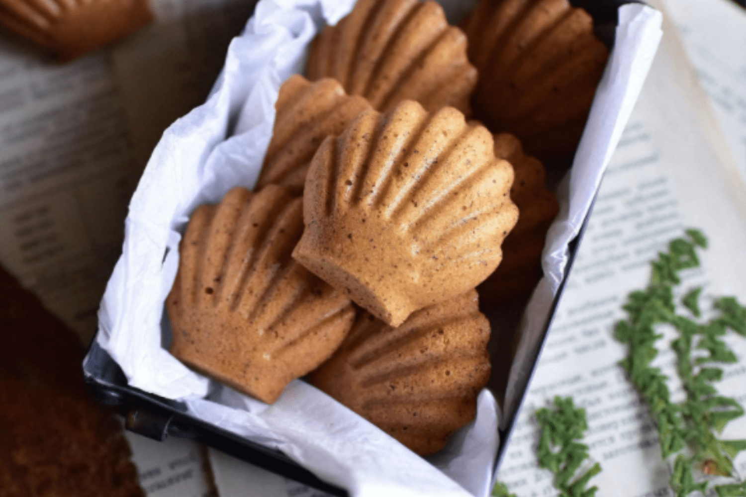 Non-Stick Scallop Madeline Baking Pan - Banneton Man